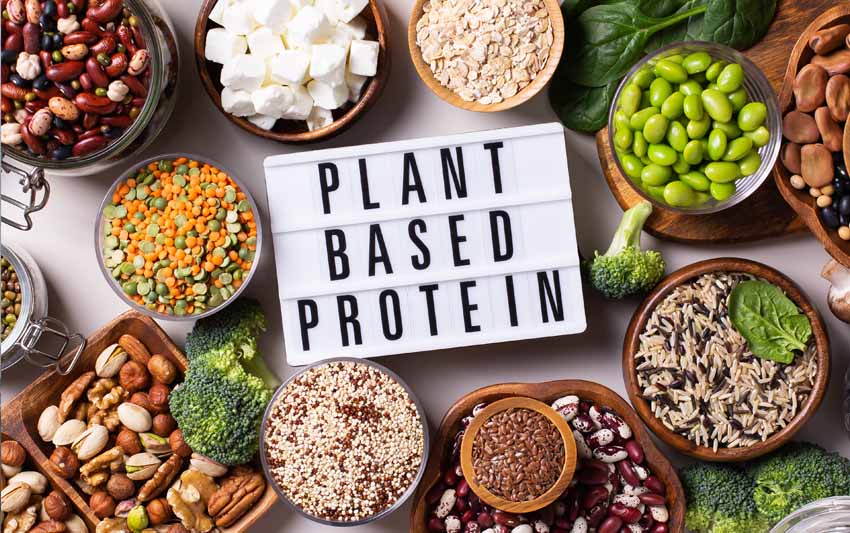 Plant based innovation. Which are the most active companies?