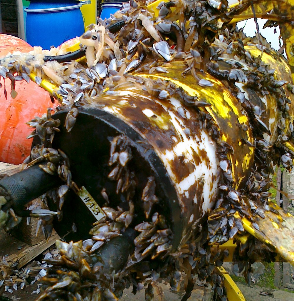 RIM .:. Revista de Investigación Marina by AZTI RIM 21(4): Guide for ...