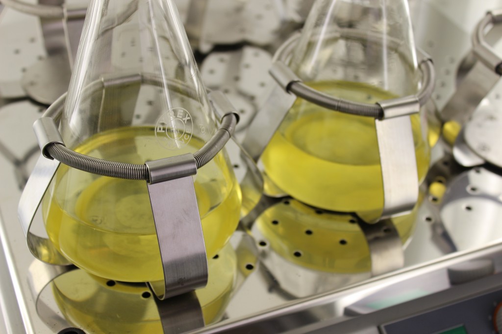 ¿Qué uso tienen las microalgas en la industria alimentaria? - AZTI