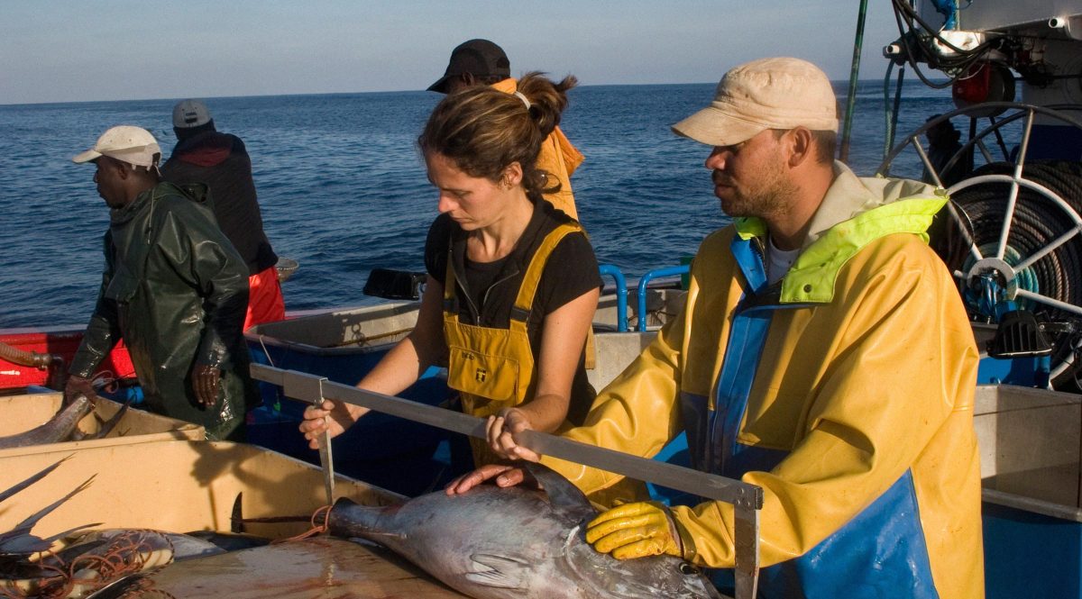 Evaluación integrada de pesquerías y recursos marinos | AZTI