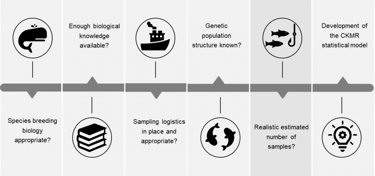 Viabilidad de aplicar/aplicación del close kin mark recapture en ...
